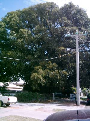 Die Murray Town Swan Hill